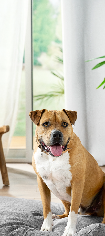 Accueil - Love Story - U10