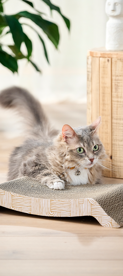 Accueil - Love Story - U10