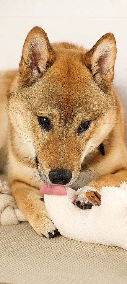 Accueil - Love Story - U10